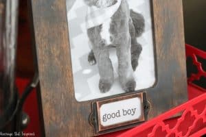 DIY Labeled Picture Frames