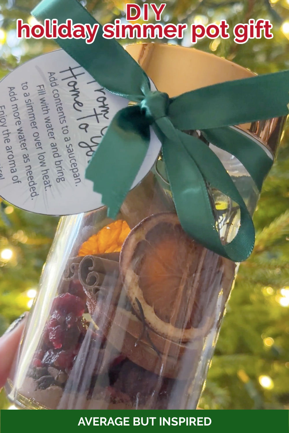 DIY Holiday Simmer Pot Gift - Average But Inspired