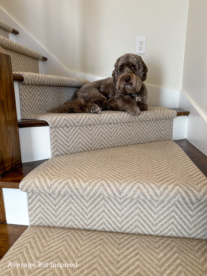 Our Modern Stair Runner on Pie Steps