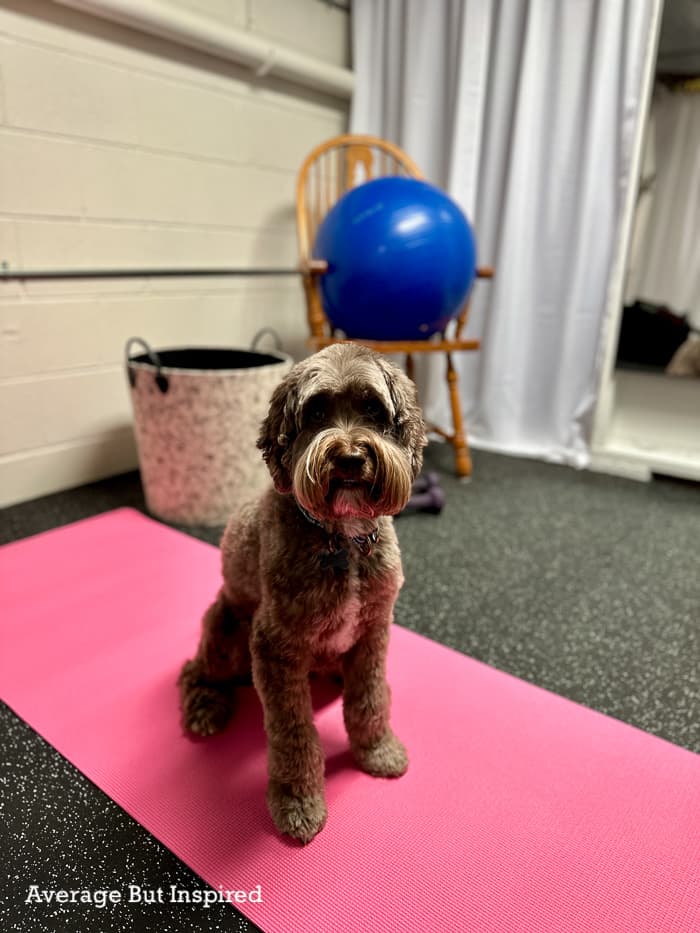 Redefining Spaces: How to Make an Unfinished Basement Gym in Your Home