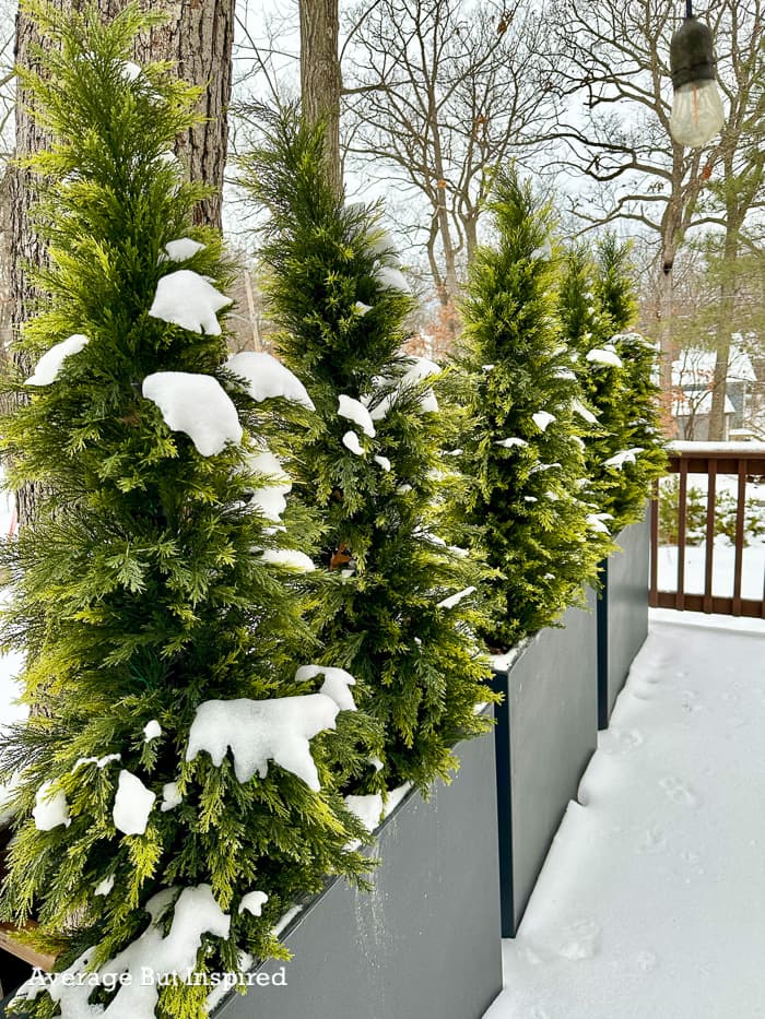 Privacy Screen Planter Box for Deck or Patio: Easy Outdoor Privacy Solution